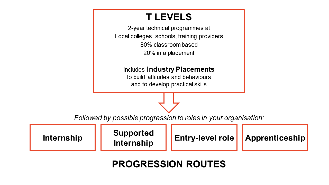 How T Level students can progress after an industry placement – T ...